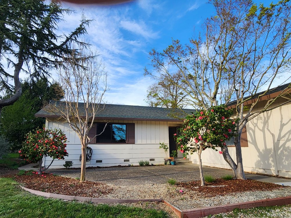 BARRAGAN TREE SERVICE - Updated April 2026 - 36 Photos & 46 Reviews ...