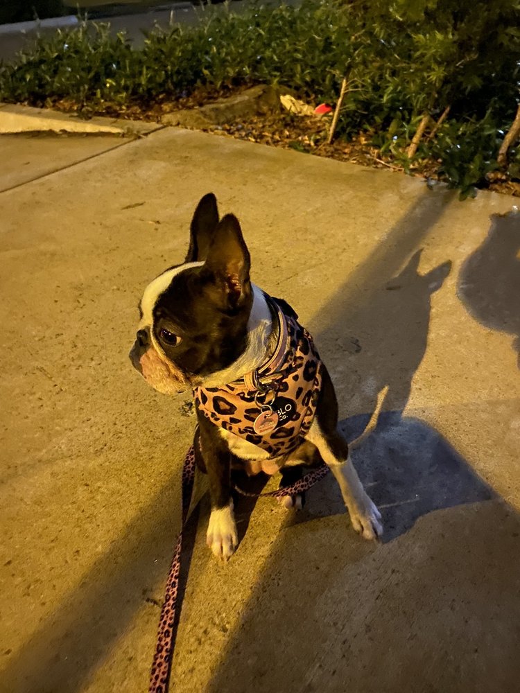 GELATO MESSINA - ROSEBERY - Updated January 2025 - 20 Photos - 58 ...