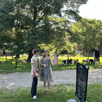 ALPHA AND OMEGA PIZZA FARM - Updated October 2025 - 43 Photos & 10 ...