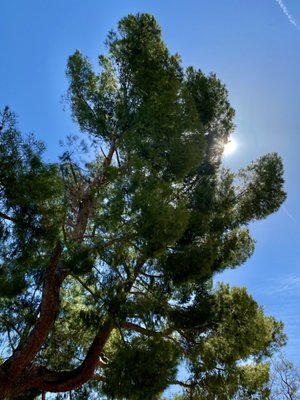 EL CARISO PARK - Updated April 2025 - 103 Photos & 53 Reviews - 13100 ...