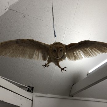 CALIFORNIA RAPTOR CENTER - Updated January 2026 - 58 Photos & 23 ...