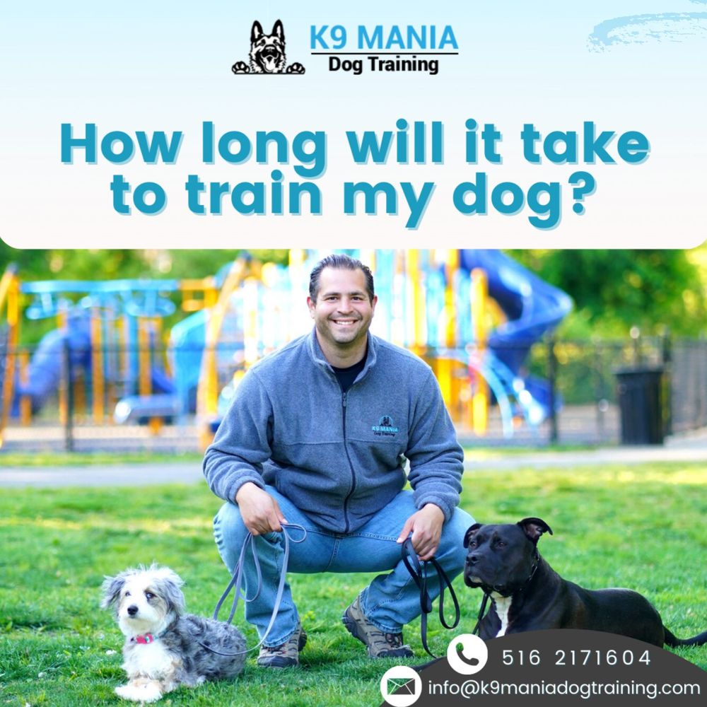 K9 MANIA DOG TRAINING - 17 Photos - 820 Grand Blvd, Deer Park, New York - Pet Training - Phone ...