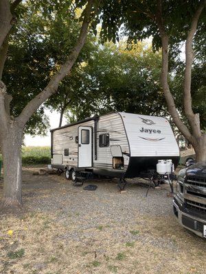 DELTA BAY MARINA - Updated August 2024 - 49 Photos & 31 Reviews - 950 W ...