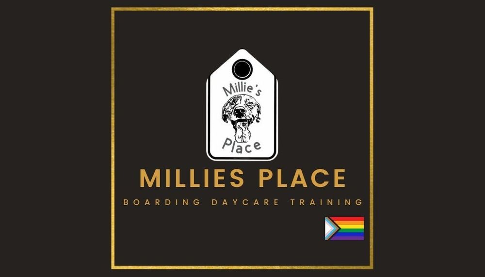 MILLIE’S PLACE 613 - Updated February 2025 - 665 Hochelaga Street ...