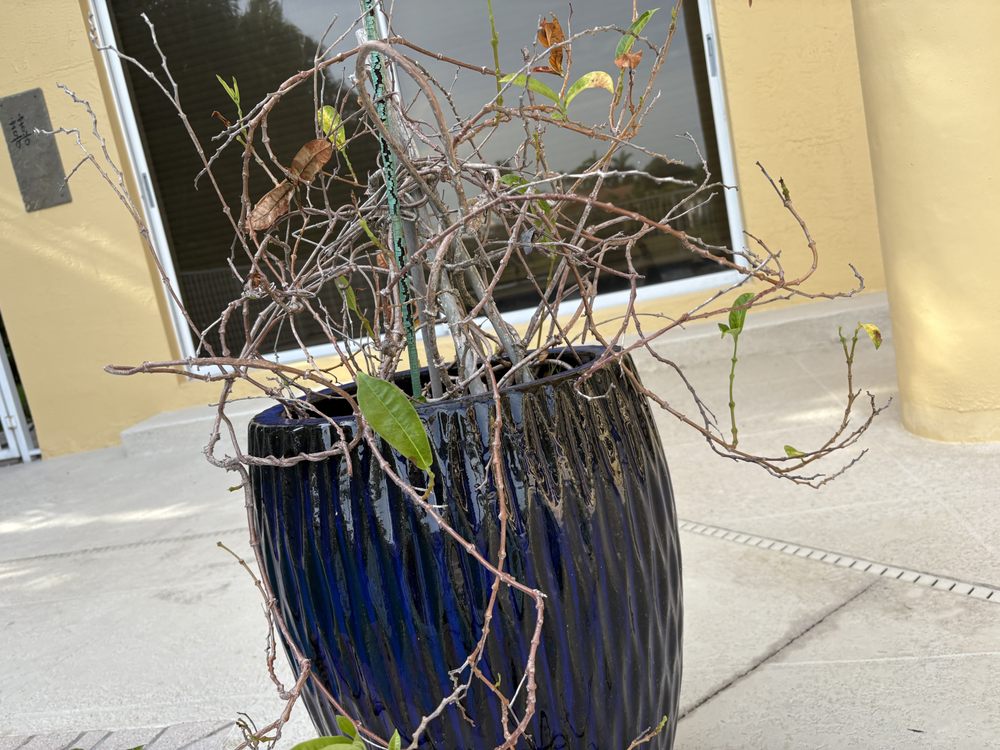 MR BUBBLES CLEANING SERVICE - Updated June 2025 - 7050 W Palmetto Pk Rd ...