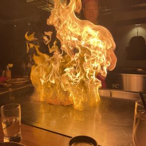 EDOKO JAPANESE STEAK HOUSE - Updated December 2025 - 37 Photos & 24 ...