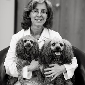 STACK VETERINARY HOSPITAL - Updated March 2025 - 23 Photos & 48 Reviews ...