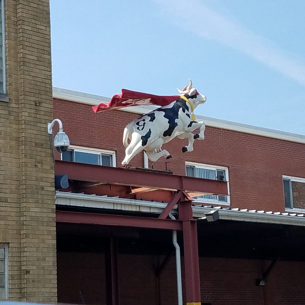 GUIDA MILK & ICE CREAM - Updated October 2025 - 433 Park St, New ...