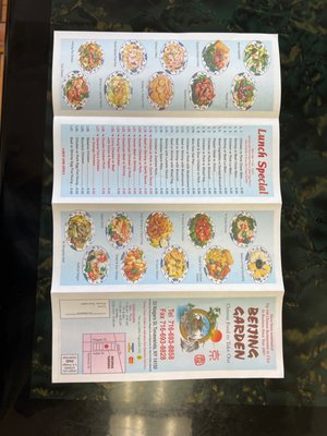 BEIJING GARDEN - Updated September 2025 - 33 Photos & 29 Reviews - 33 ...