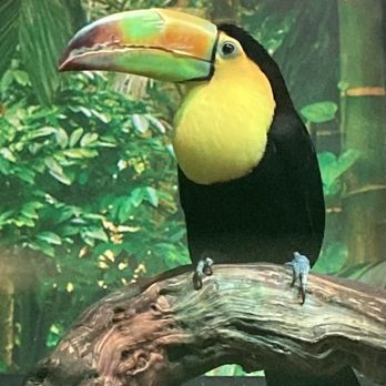 ARIZONA BOARDWALK - Updated July 2025 - 141 Photos & 38 Reviews - 9500 ...