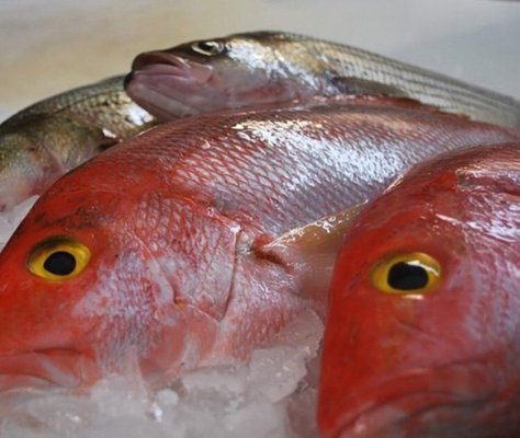 THE INDIAN RIVER SEAFOOD MARKET - Updated November 2024 - 25 Photos ...