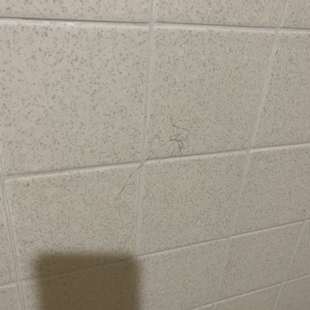 ORANGE TREE INN - 73 Photos & 123 Reviews - 1920 State St, Santa ...