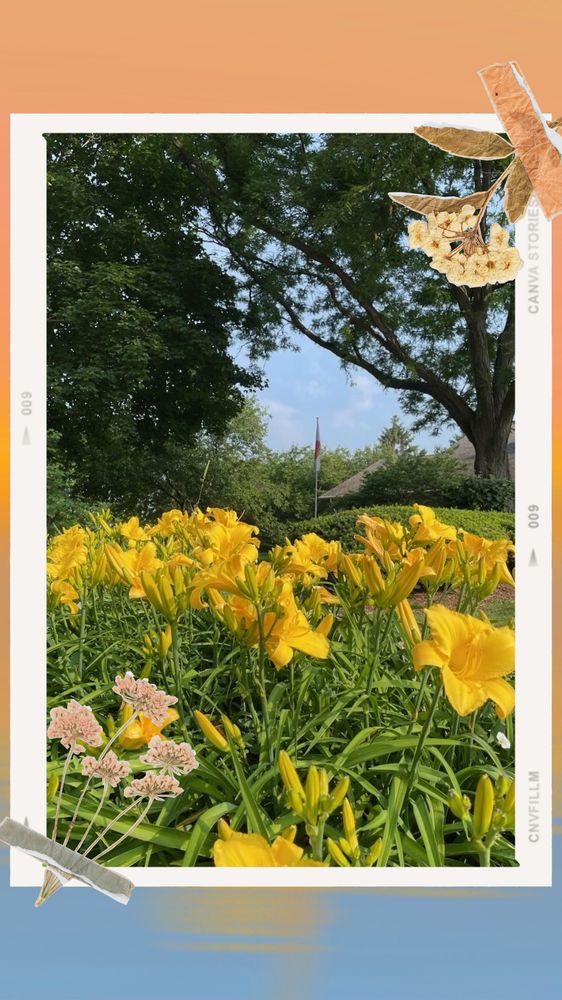 CLOVER RIDGE EAST APARTMENTS - Updated October 2025 - 11 Photos & 20 ...