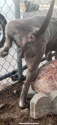 PUNKIN CENTER BAR - Updated October 2025 - 25 Photos & 16 Reviews - Hwy ...