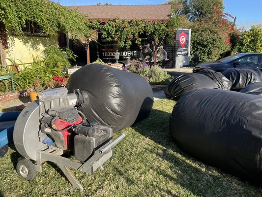 RODENT CONTROL - Updated January 2026 - 235 Photos & 406 Reviews - 5455 ...