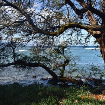 POHAKU PARK S-TURNS - Updated September 2025 - 52 Photos & 15 Reviews ...