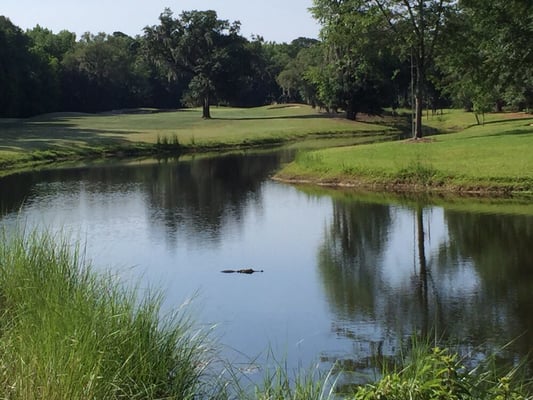EAGLE’S POINTE GOLF CLUB - 15 Reviews - 1 Eagle Pointe Dr, Bluffton, SC ...