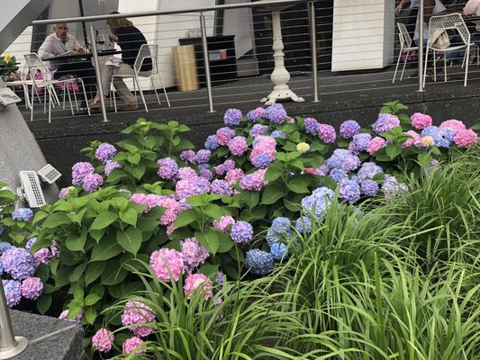 BAR BANTAM - 152 Photos & 57 Reviews - Breakfast & Brunch - 1 S Clinton ...