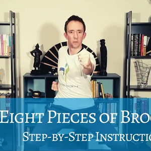 ARTHUR YIN FAN, CMD PHD LAC - Updated May 2025 - 8214 Old Courthouse Rd ...