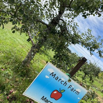 MARCH FARMS - Updated October 2025 - 101 Photos & 46 Reviews - 160 ...