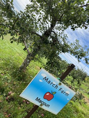 MARCH FARMS - Updated July 2024 - 92 Photos & 36 Reviews - 160 Munger ...