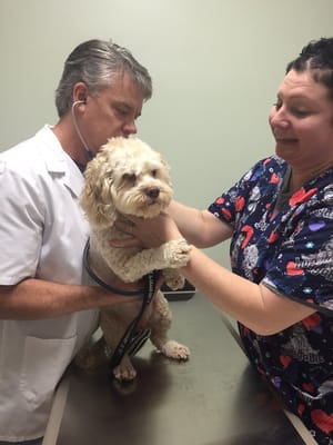 STEVENS ANIMAL HOSPITAL - Updated October 2025 - 31 Photos & 63 Reviews ...