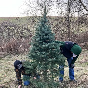 TRAX FARMS - Updated October 2025 - 372 Photos & 96 Reviews - 528 Trax ...