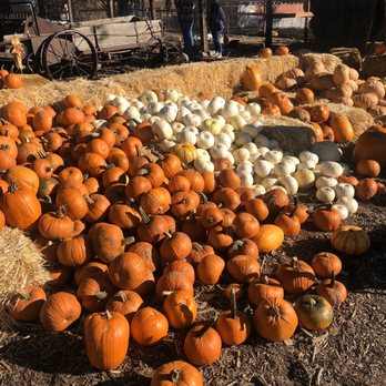 7TH GENERATION FARM - Updated November 2024 - 19 Photos & 18 Reviews ...