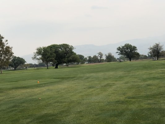 GLENDALE GOLF COURSE - Updated September 2024 - 18 Photos - 1630 W ...