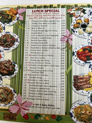 BAMBOO WOK - Updated October 2025 - 84 Photos & 109 Reviews - 9181 ...