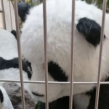 WOODSIDE SQUARE - Updated January 2026 - 134 Photos & 29 Reviews - 1571 ...