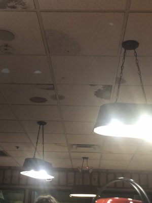 SPLASH UNIVERSE - 37 Photos & 124 Reviews - 100 Whitetail Dr, Dundee ...