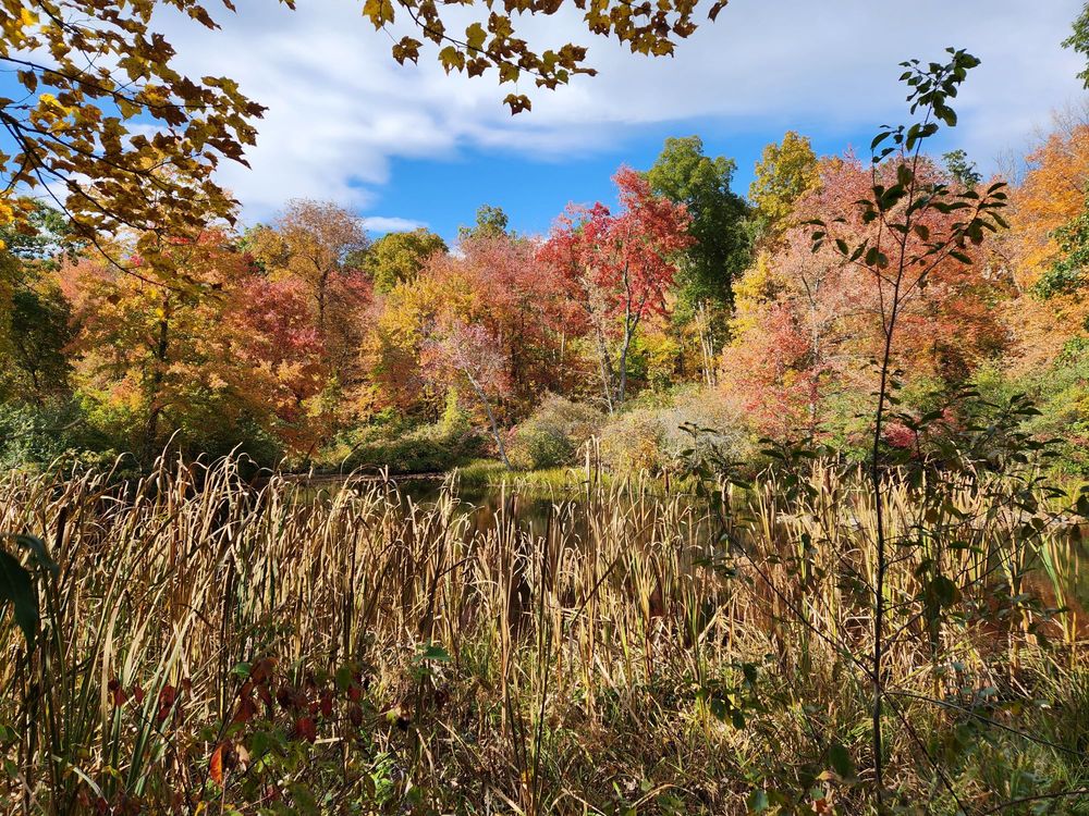 LAUGHING BROOK WILDLIFE SANCTUARY - 793 Main St, Hampden, Massachusetts ...