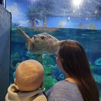 Oklahoma Aquarium - 230 Photos & 114 Reviews - Aquariums - 300 Aquarium ...