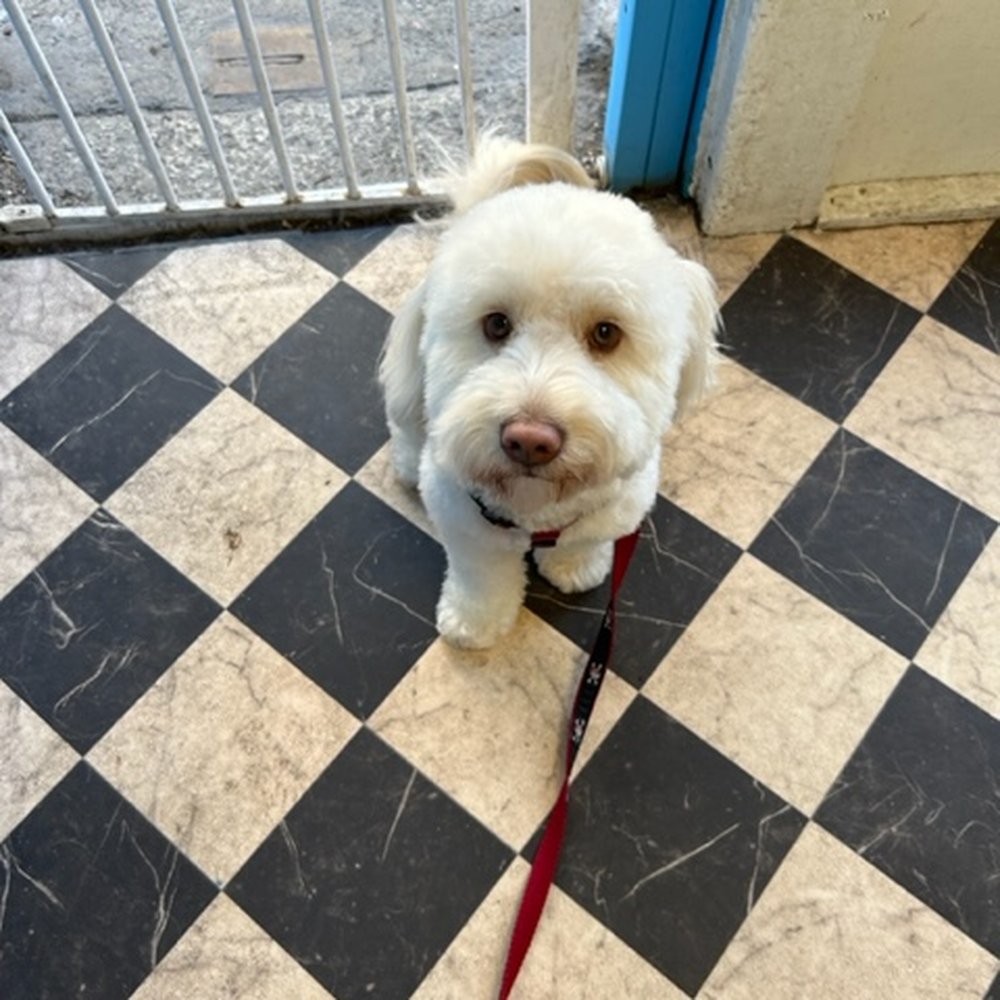 Kevin Harcourt's Instagram, Twitter & Facebook on IDCrawl