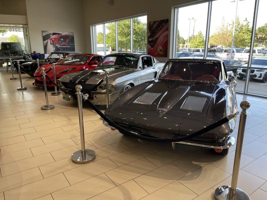 EARTH MOTOR CARS - Updated July 2025 - 160 Photos & 135 Reviews - 3216 ...