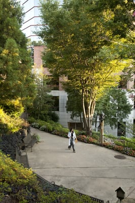 GBMC - GREATER BALTIMORE MEDICAL CENTER - Updated January 2026 - 42 ...