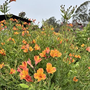 CRYSTAL BAY FARM - Updated December 2025 - 163 Photos & 78 Reviews - 40 ...