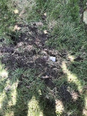 TDS - Updated October 2025 - 17 Photos & 343 Reviews - 525 Junction Rd ...