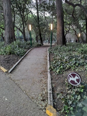 PARQUE GANDHI - Updated October 2025 - Bosque de Chapultepec, México, D ...