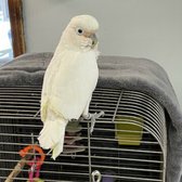 MENARDS - Updated September 2025 - 17 Reviews - 3535 Court St, Pekin ...