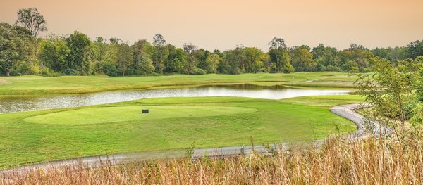 THE 500 CLUB - Updated May 2024 - 31 Photos - 175 Club House Dr ...