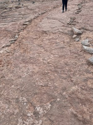 THE NEW WAVE - Updated September 2024 - Page, Arizona - Hiking - Yelp