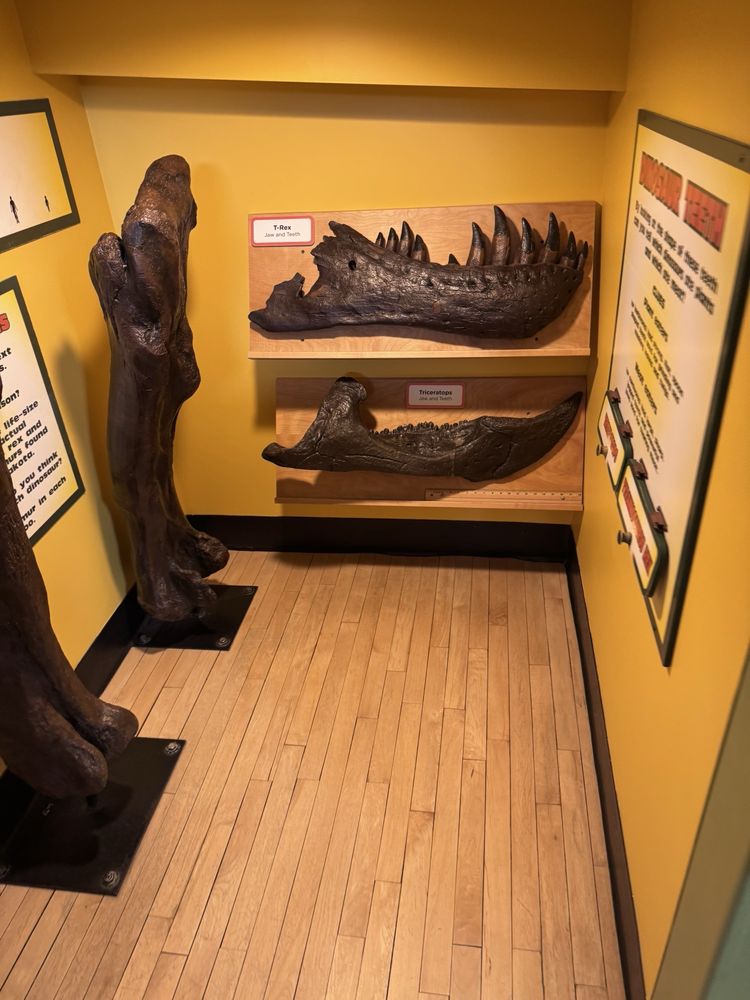 THE CHILDREN’S MUSEUM OF NEW HAMPSHIRE - Updated July 2025 - 51 Photos ...