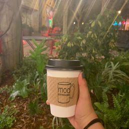 MOD COFFEEHOUSE - Updated March 2025 - 571 Photos & 642 Reviews - 2126 ...