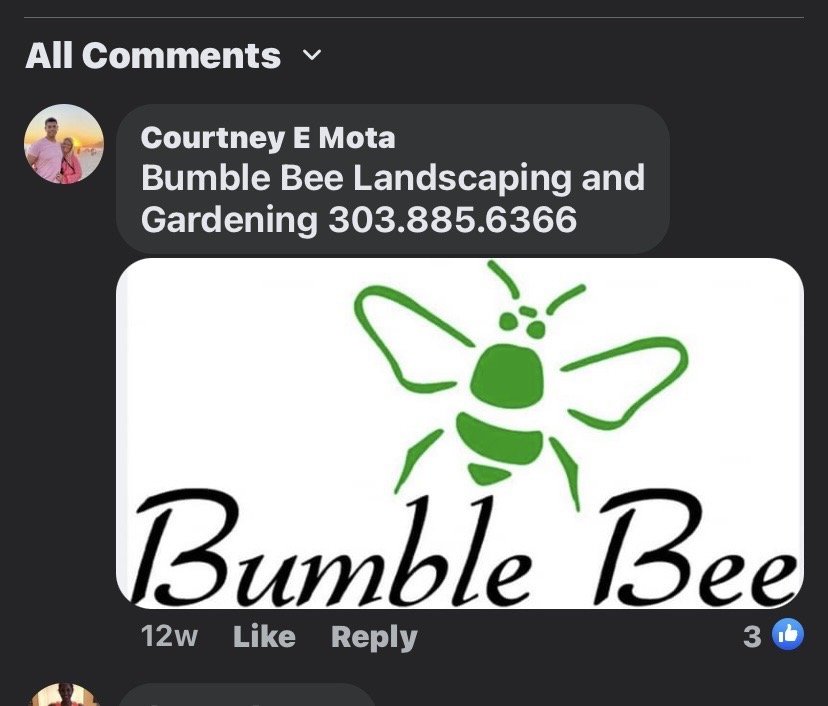 BUMBLE BEE LANDSCAPING AND GARDENING - Grant, Colorado - Landscaping ...