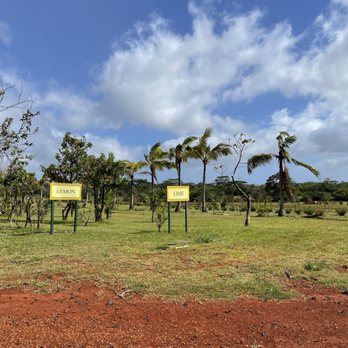 DOLE PLANTATION - Updated June 2024 - 12686 Photos & 3402 Reviews - 64 ...