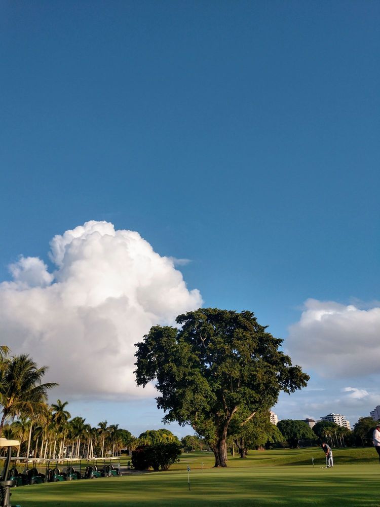 GRANADA GOLF COURSE - Updated December 2024 - 49 Photos & 41 Reviews ...