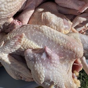 PITMAN FAMILY FARMS - Updated December 2025 - 12 Photos & 14 Reviews ...