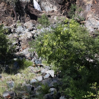 SPENCEVILLE WILDLIFE AREA - Updated December 2025 - 70 Photos & 21 ...